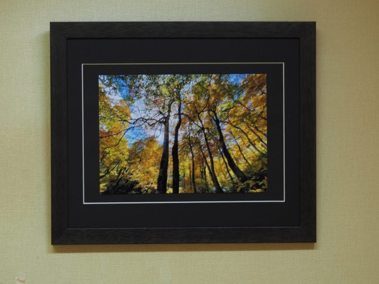 フォトギャラリー更新 ～ 都築知子・石川佳子 PHOTO展 「大山の秋」｜肩こりや不妊の改善は名古屋の栄・新栄町の鍼灸・AOI(あおい)