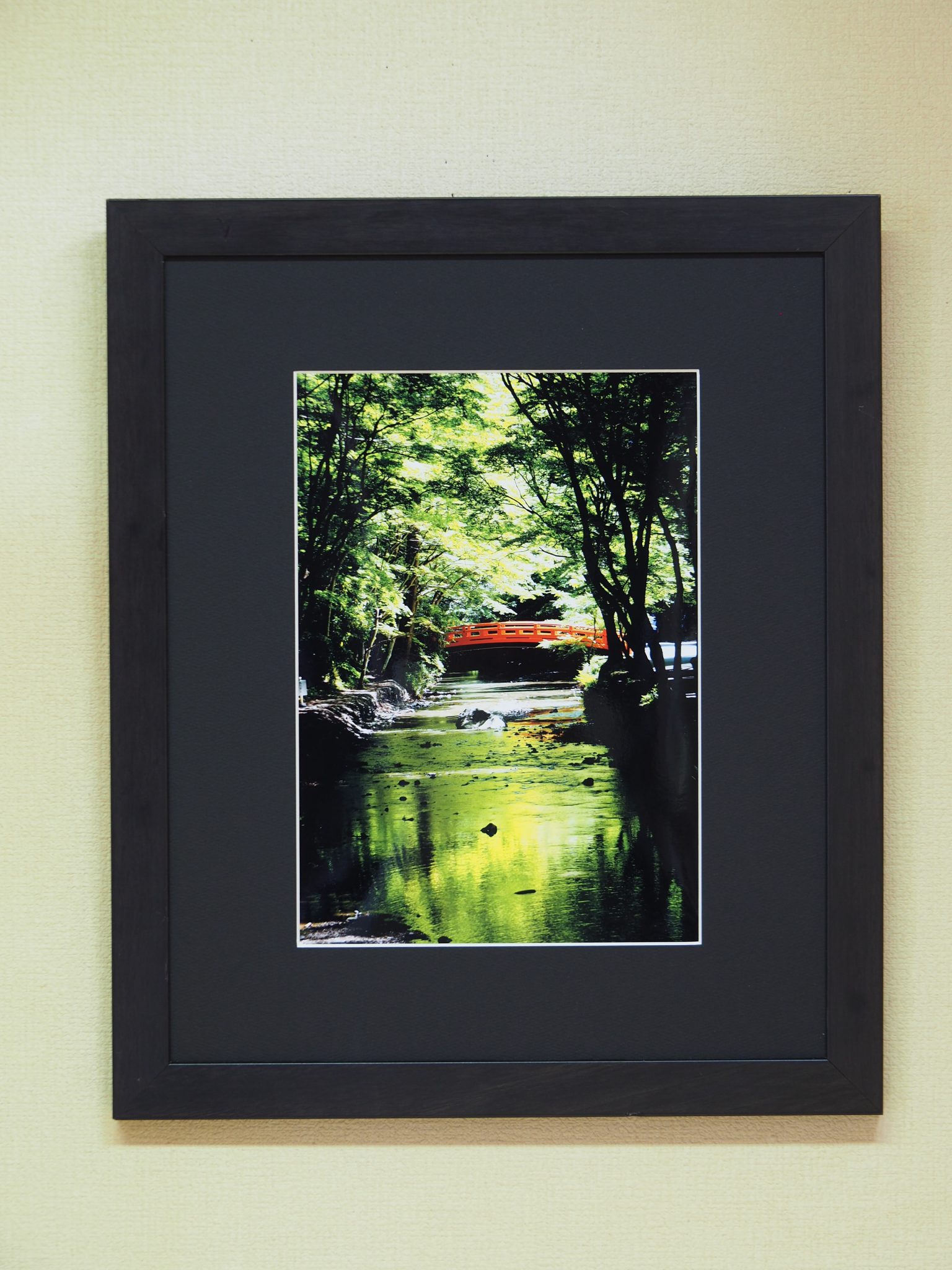 フォトギャラリー更新 ～ 石川佳子 PHOTO展 「新緑のなかで」｜肩こりや不妊の改善は名古屋の栄・新栄町の鍼灸・AOI(あおい)